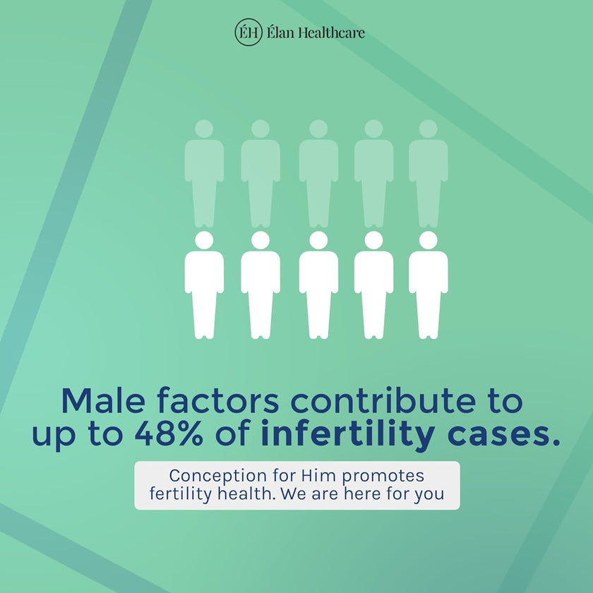 Top 10 Recommended Foods to Increase Male Fertility
