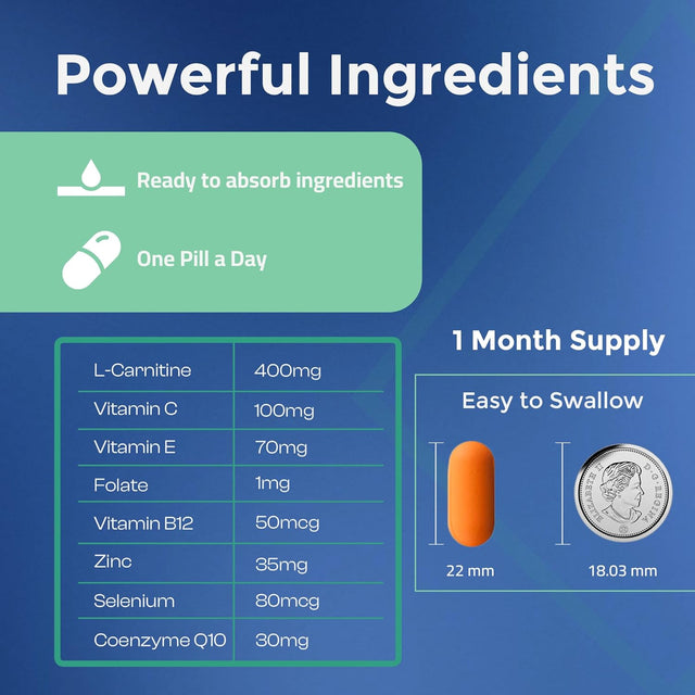 Top 10 Recommended Foods to Increase Male Fertility