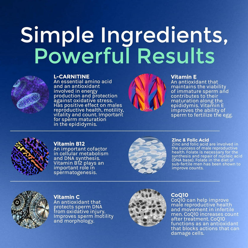MedFertil: Essential Prenatal Vitamins for Men & Fertility Enhancement