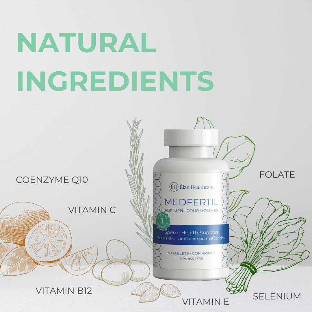 Top 10 Recommended Foods To Increase Male Fertility